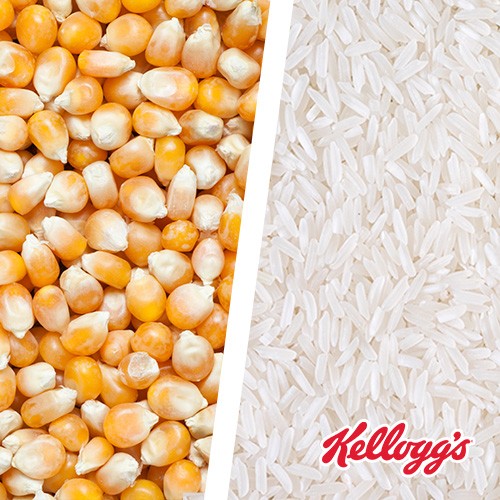 Cuidamos el origen de los granos en los cereales | Kellogg's®